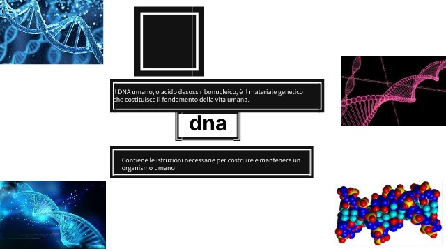 dna | Genially