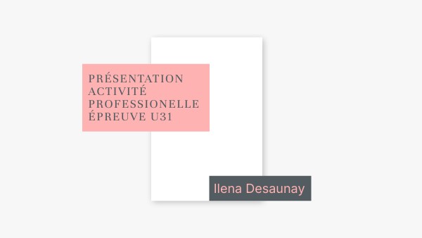 Présentation activité professionelleépreuve U31 | Genially