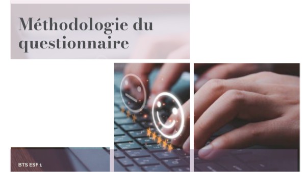 S3 BTS ESF 1 - Méthodologie du questionnaire | Genially