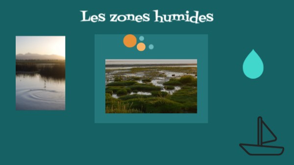 Les zones humides | Genially
