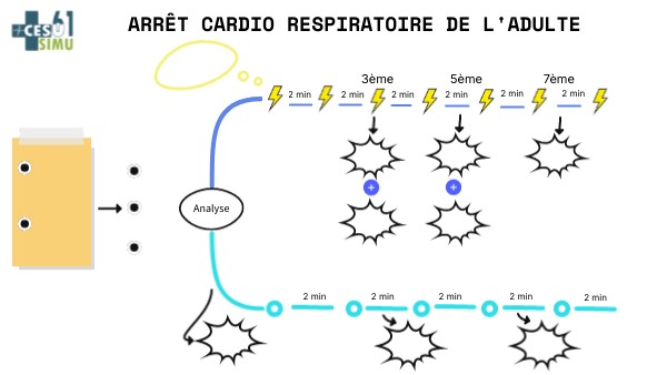 Arrêt cardio respiratoire de l'adulte | Genially