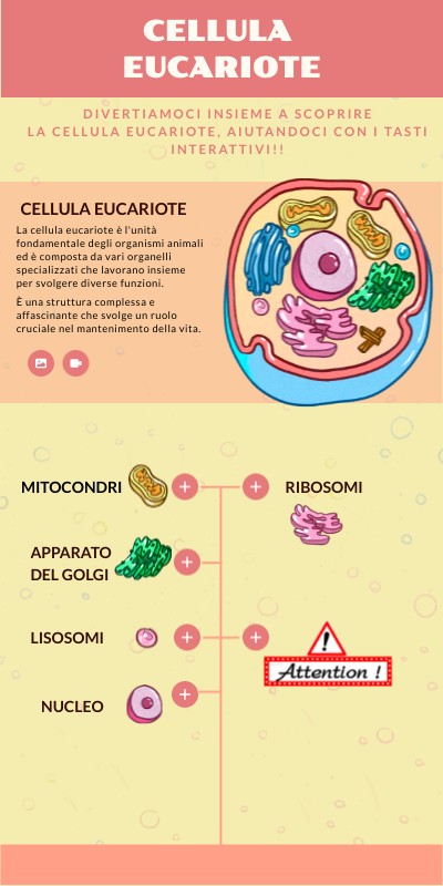 CELLULA EUCARIOTE | Genially