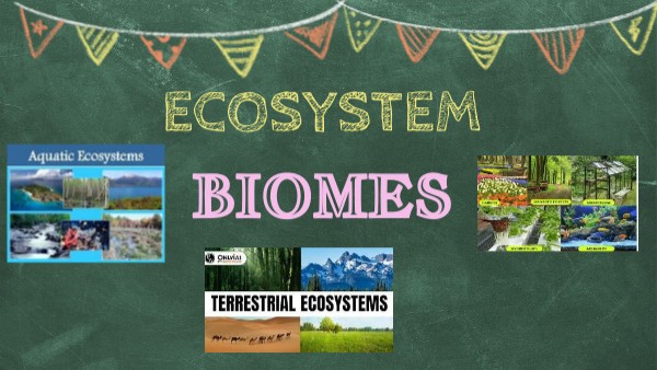 ECOSYSTEM | Genially