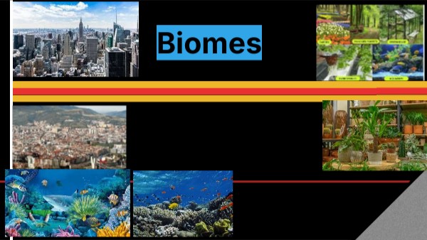 biomes | Genially
