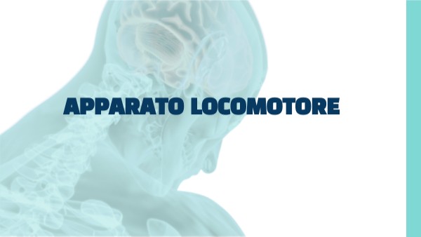 APPARATO LOCOMOTORE | Genially