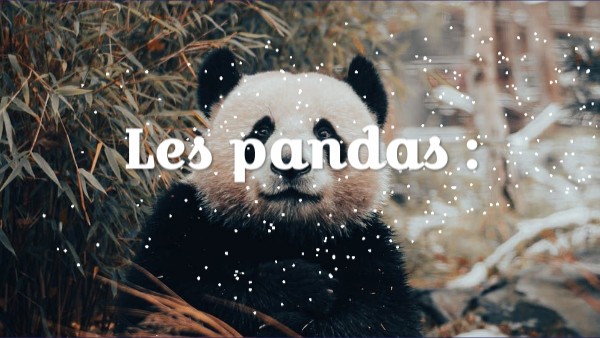 Copie - panda exposé | Genially