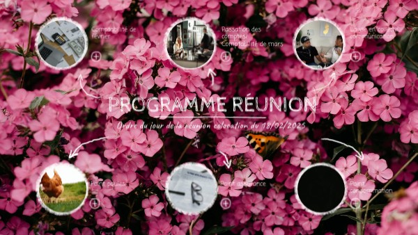 Programme réunion | Genially