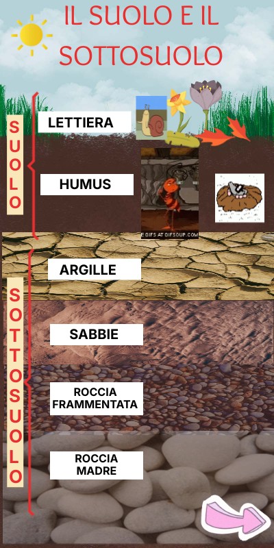 Il suolo e il sottosuolo | Genially