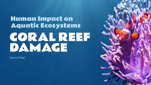 Human Impact - Coral Reef Damage | Genially