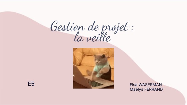 Gestion de projet : la veille | Genially