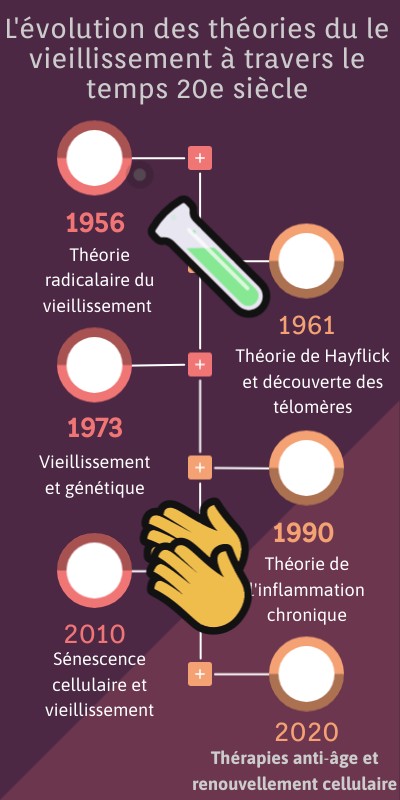 L'évolution des théories du le vieillissement à travers le temps 20e siècle | Genially