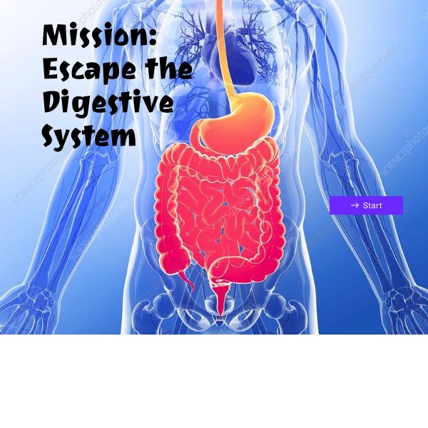 Mission: Escape the Digestive System | Genially