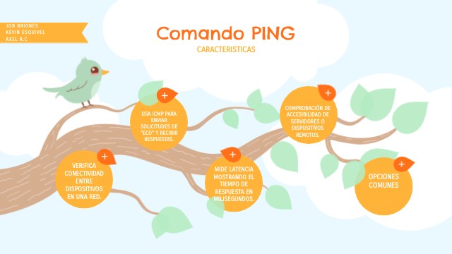 Comando PING | Genially