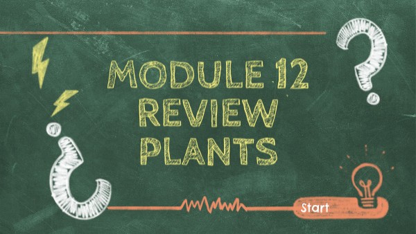 Module 12 Review PLANTS | Genially