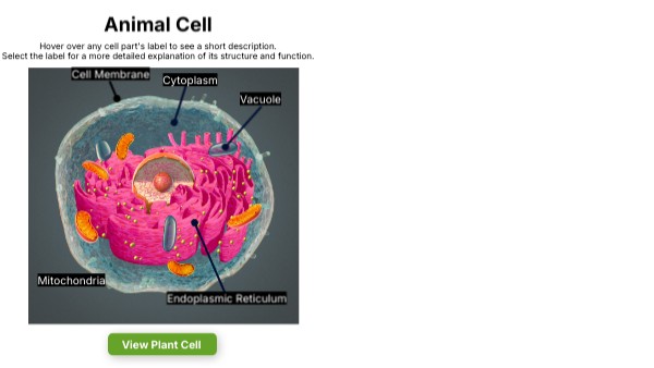Animal Cell | Genially