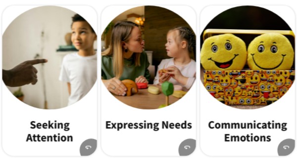 Behavior as Communication | Genially