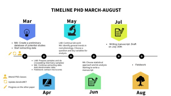 Timeline PHD MARCH-AUGUST | Genially