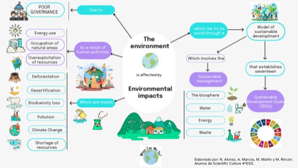 ENVIRONMENTAL IMPACTS | Genially