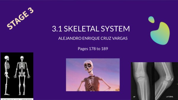 2025 3.1 SKELETAL SYSTEM | Genially