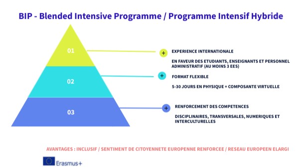 PAUSE PEDAGO BIP | Genially