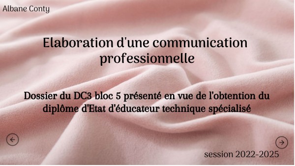 Elaboration d'une communication professionnelle | Genially