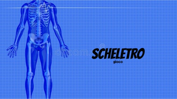 SCHELETRO | Genially