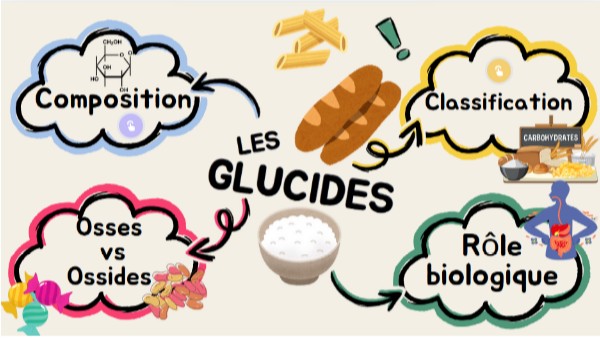 LES GLUCIDES (BAC PRO 1) | Genially