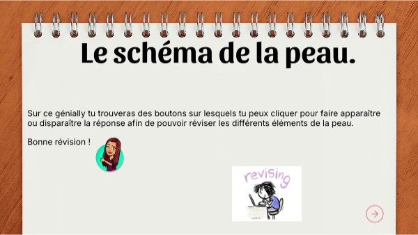 Schéma de la peau. | Genially