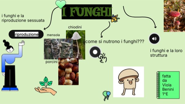 I FUNGHI | Genially