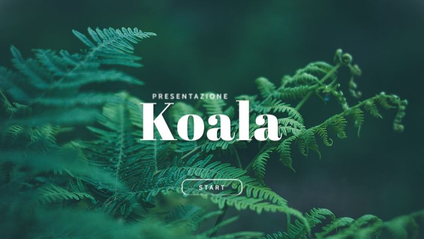 Koala | Genially