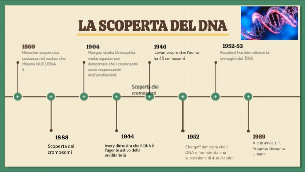 LA SCOPERTA DEL DNA | Genially