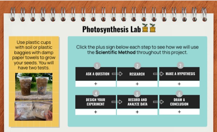 Q2 1.2 Photsynthesis Experiment | Genially