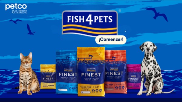 Fish4Pets: Fish4Dogs y Fish4Cats | Genially