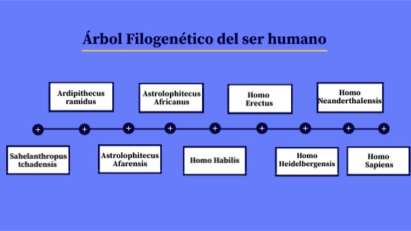 Árbol Filogenético ndel ser humano | Genially