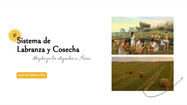 Actividad 9 Sesión 18 | Genially