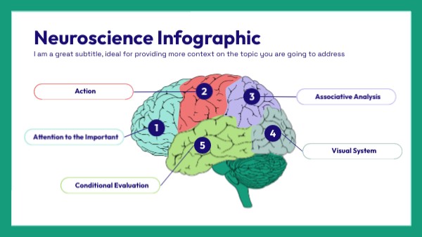 Neuroscience Infographic | Genially
