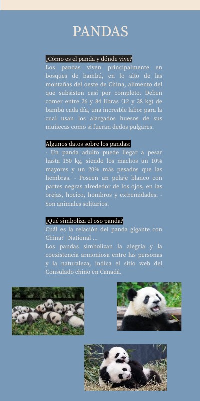 PANDAS | Genially