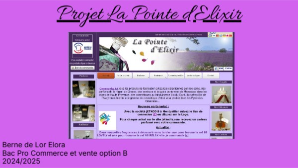 Projet La Pointe d'Elixir | Genially