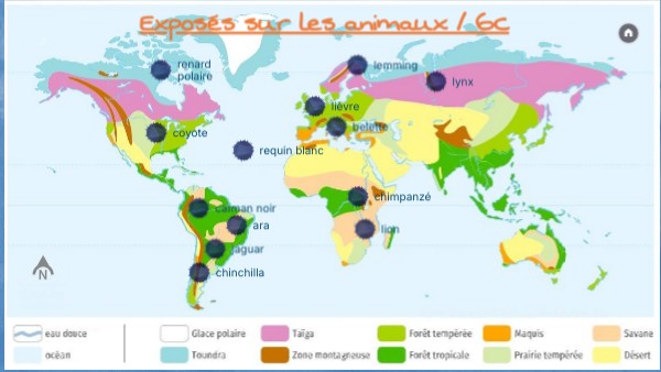 Exposés 6C / 2024-25 | Genially