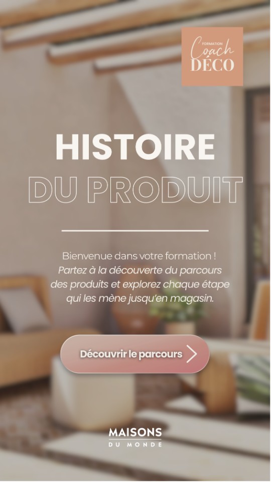 Histoire du produit_Vrai | Genially