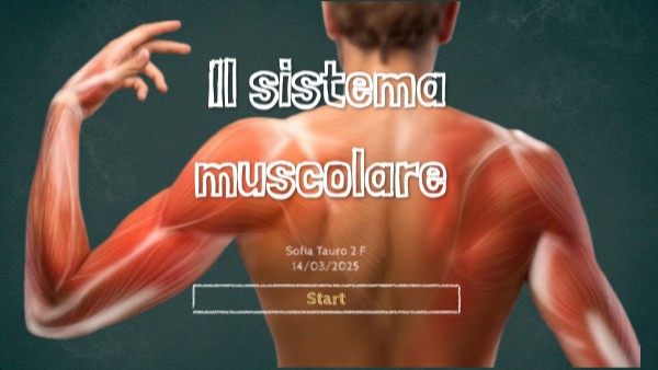 Il sistema muscolare | Genially
