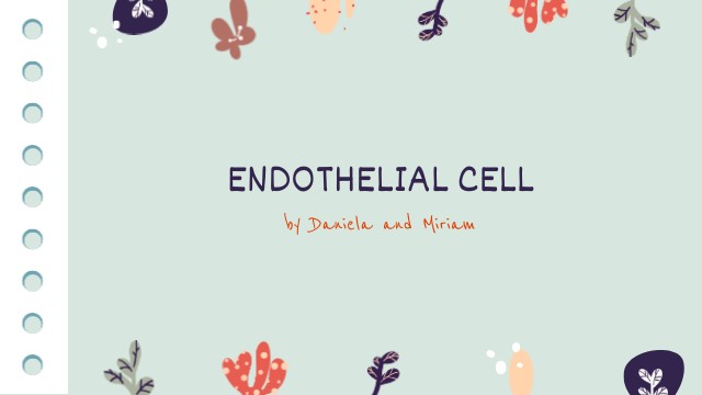 ENDOTHELIAL CELL | Genially