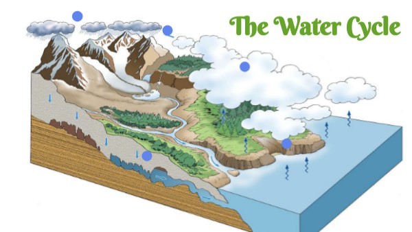 The Water Cycle | Genially