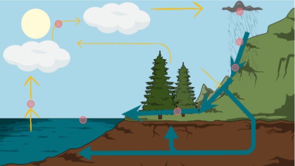 water cycle | Genially