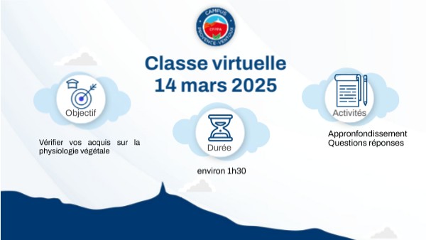 Classe virtuelle 14 mars 2025 | Genially