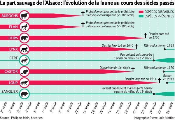 part_sauvage_alsace | Genially