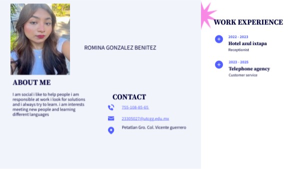 WORK EXPERIENCE | Genially