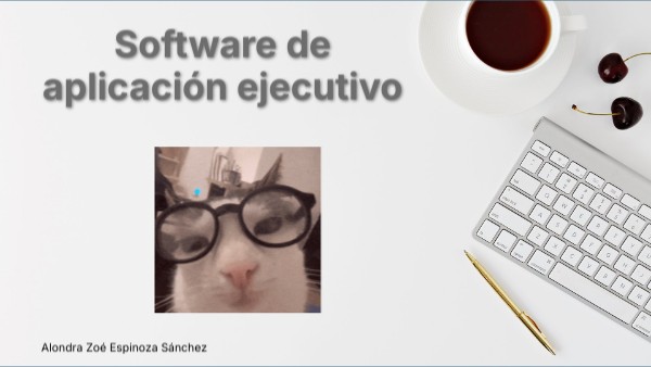 Software de aplicación ejecutivo | Genially