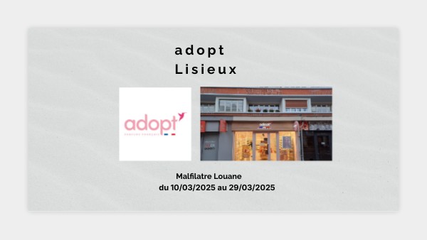 stage adopt | Genially