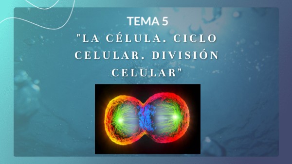 "LA CÉLULA. CICLO CELULAR. DIVISIÓN CELULAR" | Genially